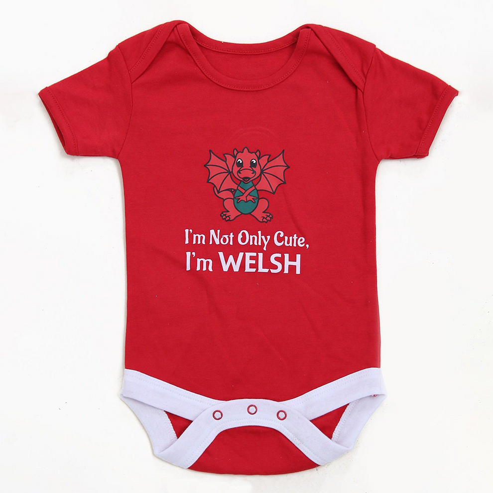 Babies Cute & Welsh Nappy T – ManavUK